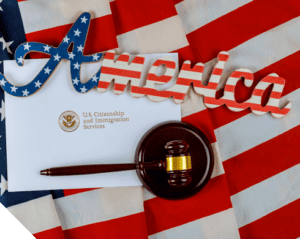 Global USA - Streamline the U.S. Immigration Process!